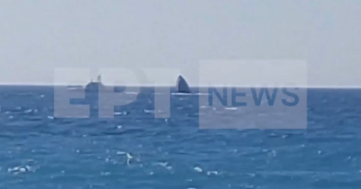 Βυθίστηκε σκάφος της Frontex ανοιχτά της Λέσβου | Alfavita